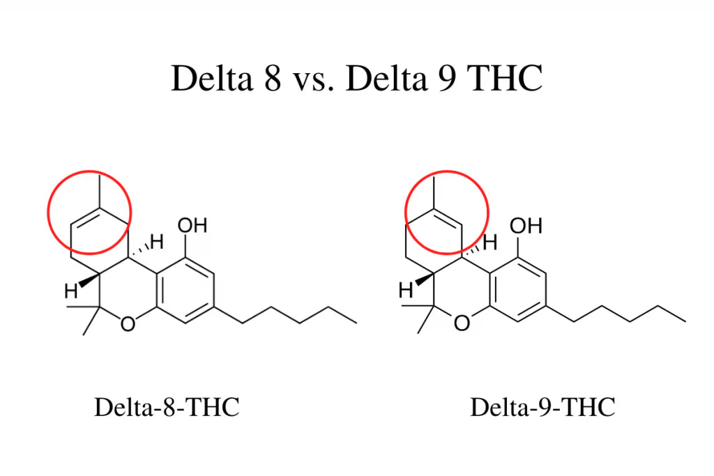 Understanding Delta-8 THC: What It Is and Why It’s Legal in Some State