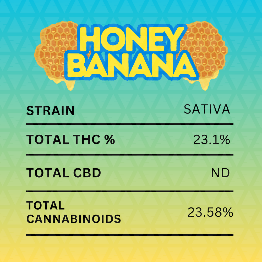 DubZotics Honey Banana THC-A Flower